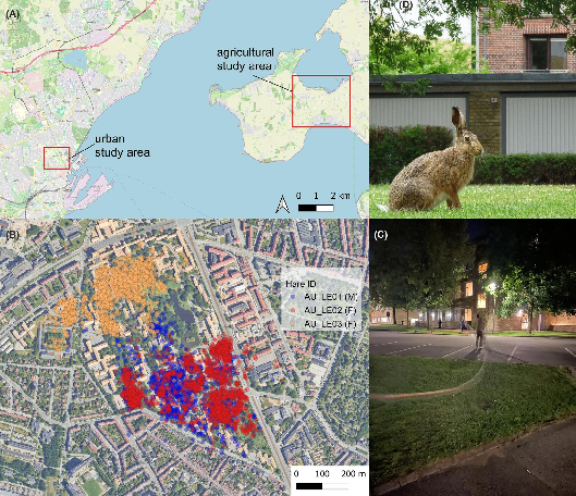 WLS - World Lagomorph Society